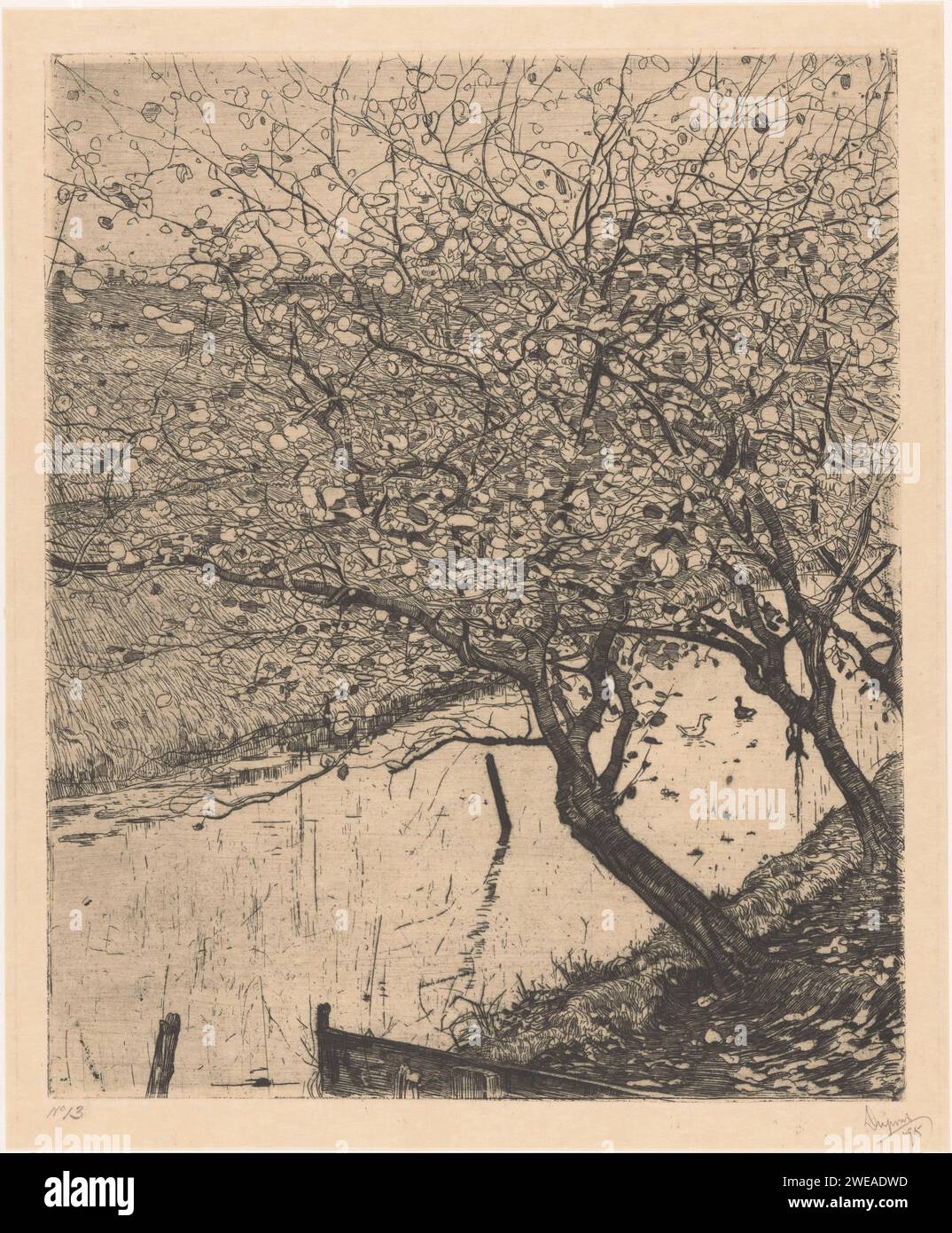 Skewed apple trees along a ditch, Pieter Dupont, 1895 print Two water ...