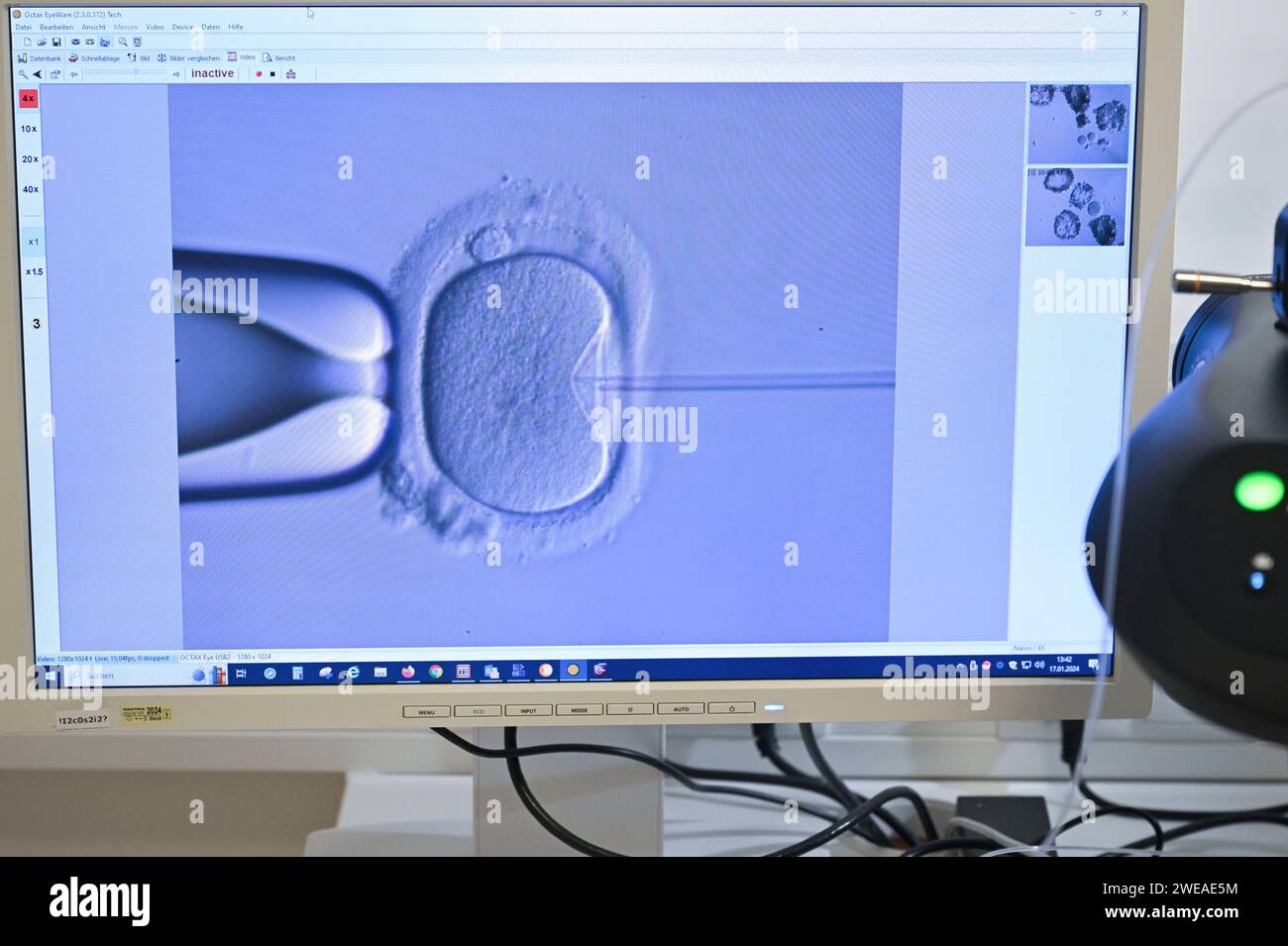 PRODUCTION - 17 January 2024, Berlin: In the cell laboratory at the ...