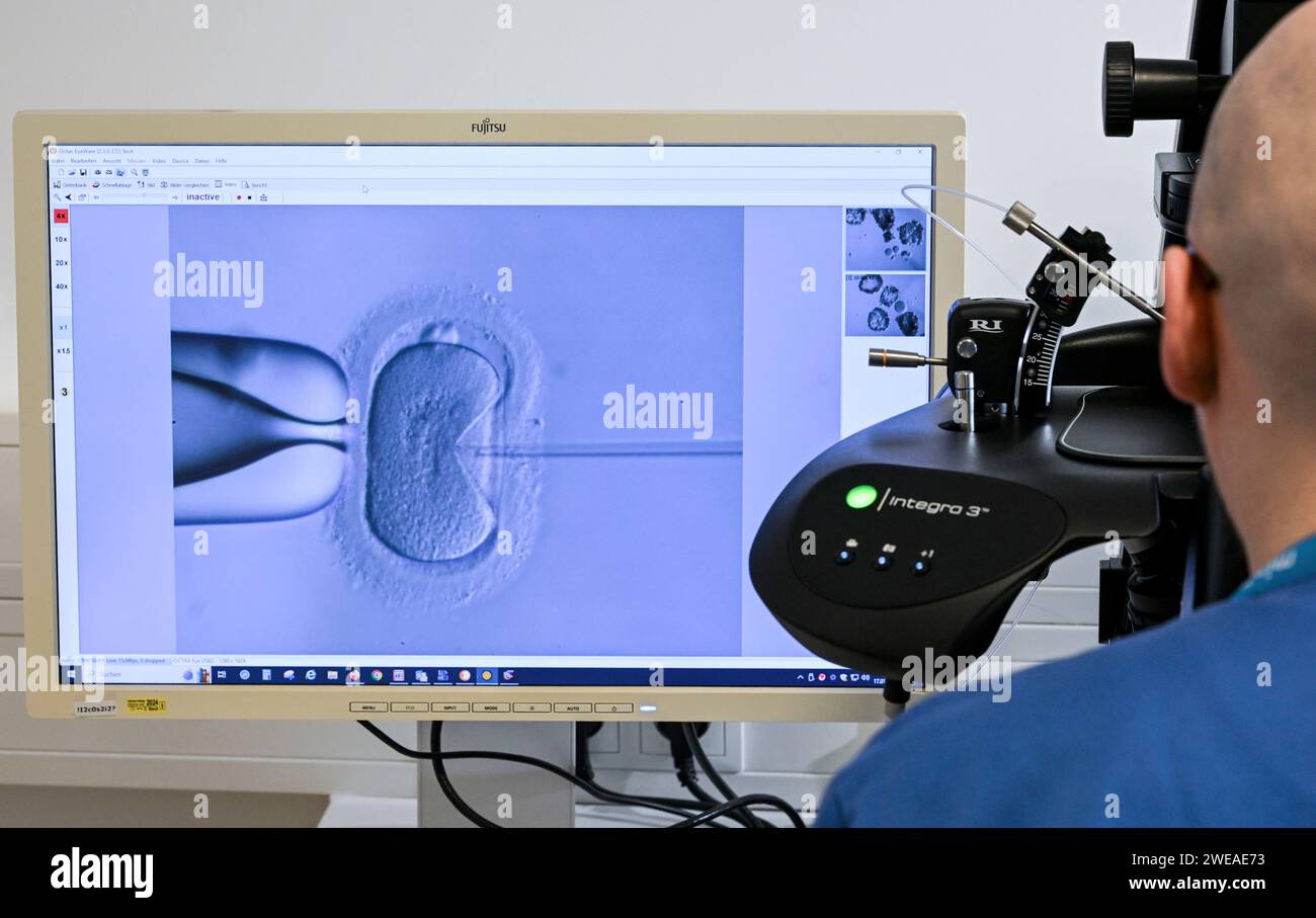 PRODUCTION - 17 January 2024, Berlin: In the cell laboratory at the ...