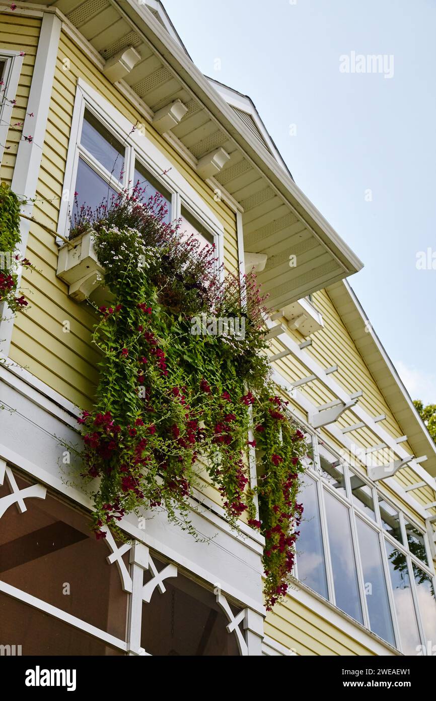 Yellow window boxes hi-res stock photography and images - Alamy
