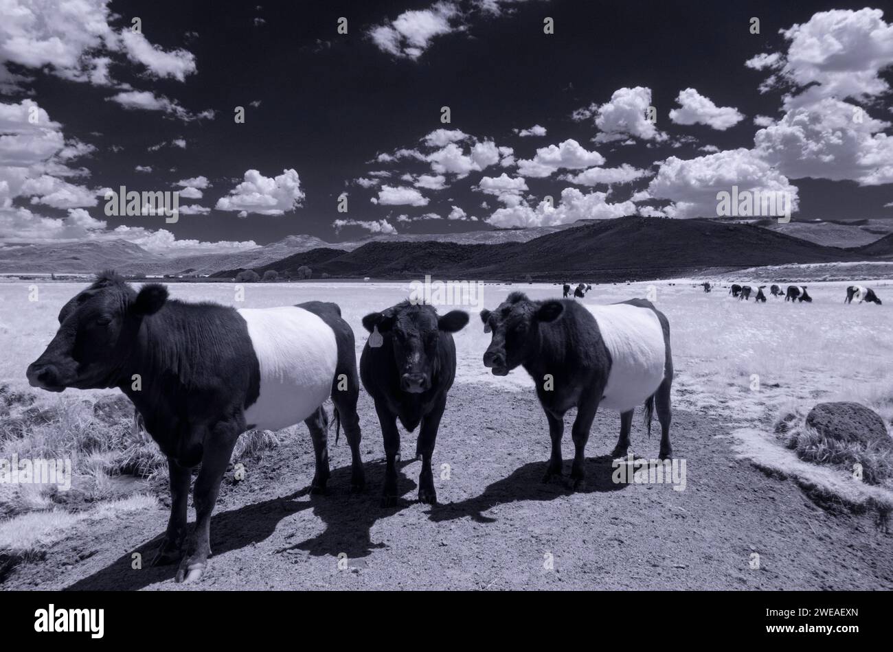 Loa utah hi-res stock photography and images - Alamy