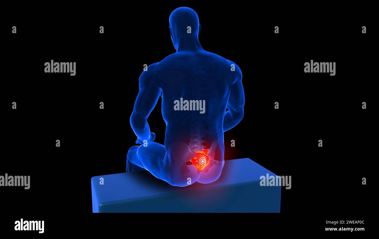 Human skeleton back pain anatomy for medical concept 3D illustration ...