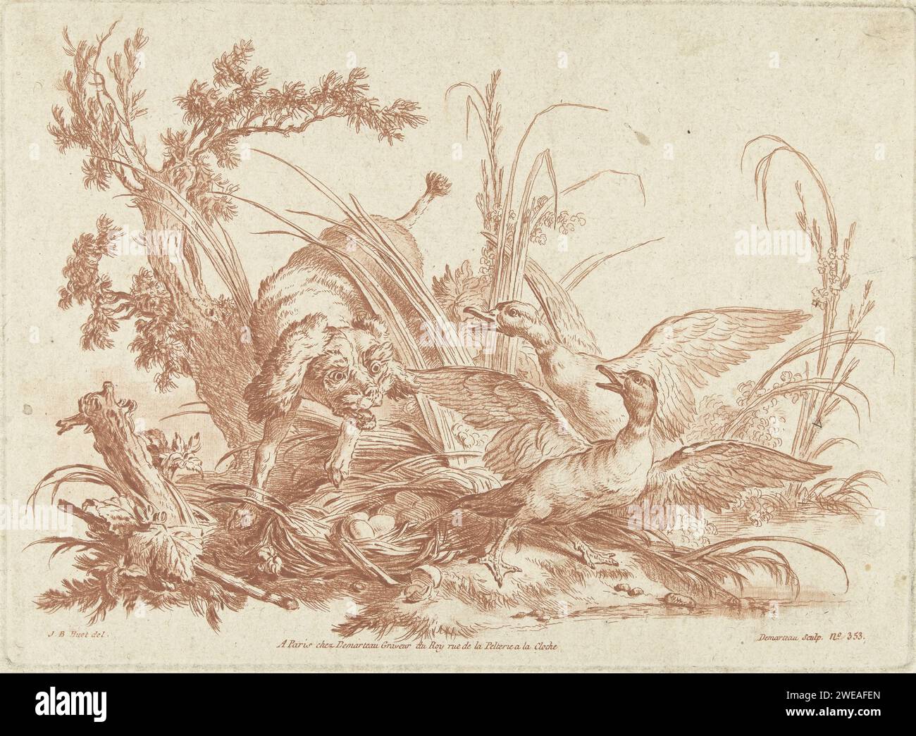 Huet huet bird hi-res stock photography and images - Alamy