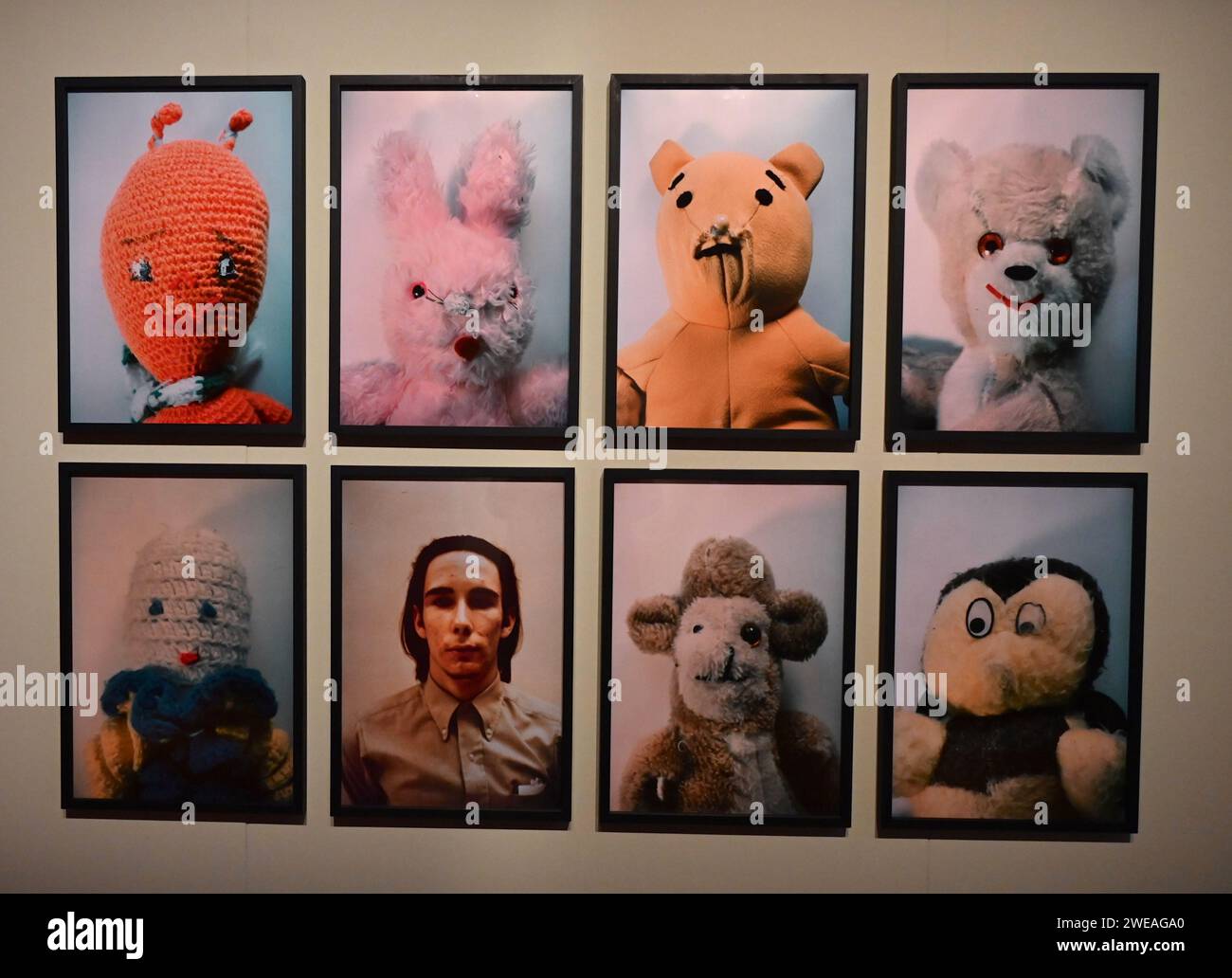 CUTE. CUTE is the first major exhibition to examine the extraordinary ...