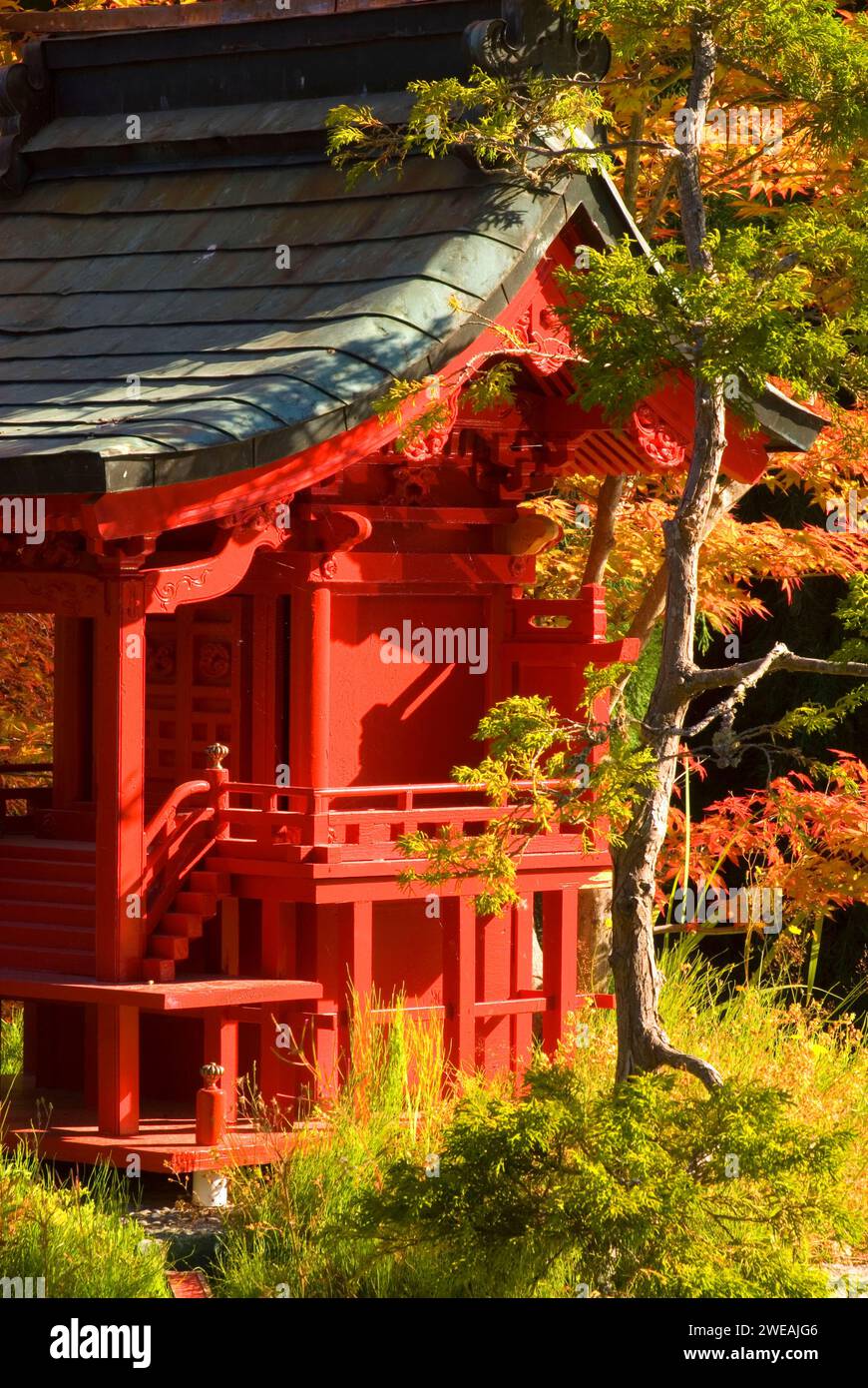 Point defiance pagoda hi-res stock photography and images - Alamy