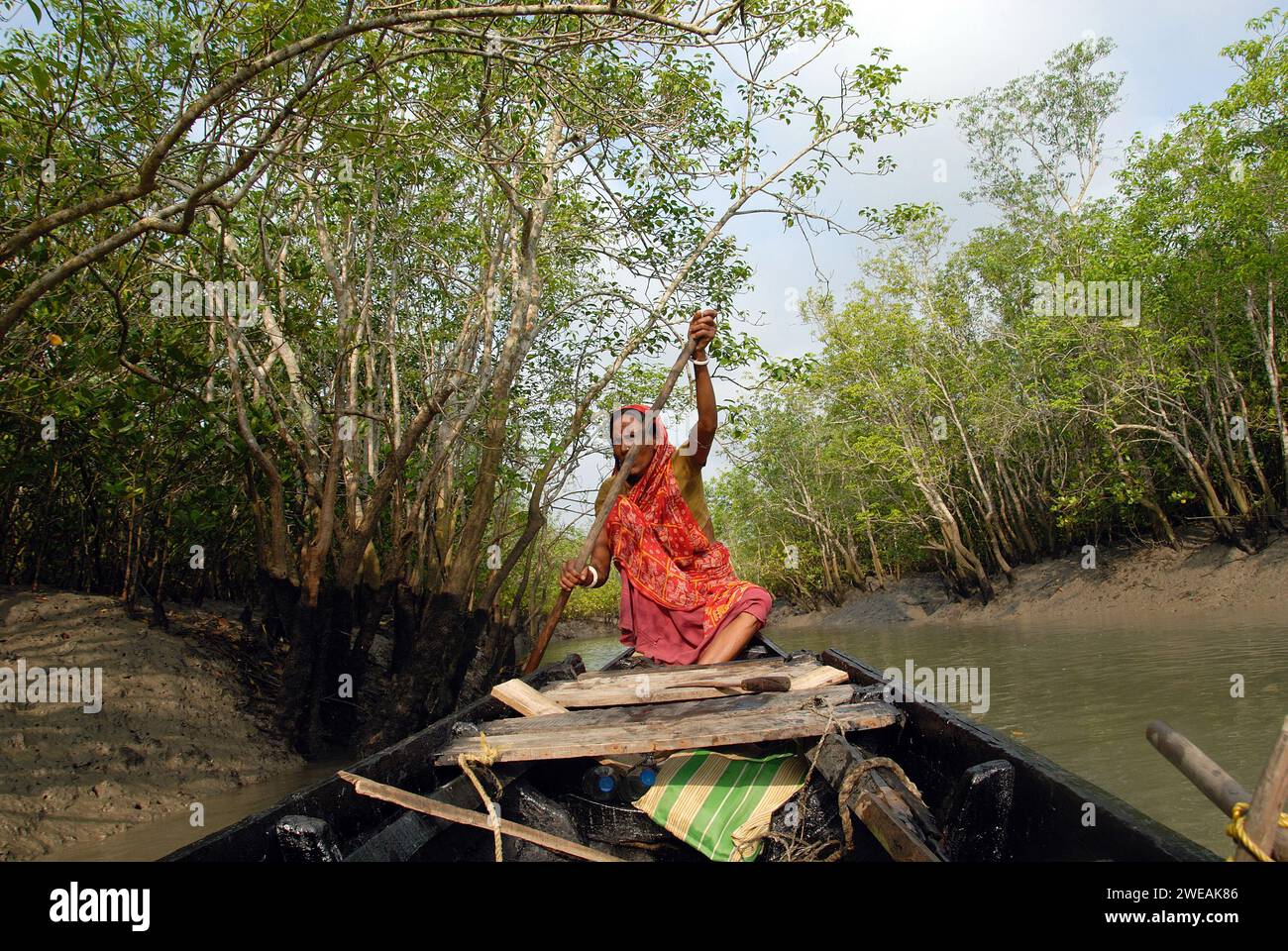 Fishing is the livelihood for many families in the Sundarbans, the ...