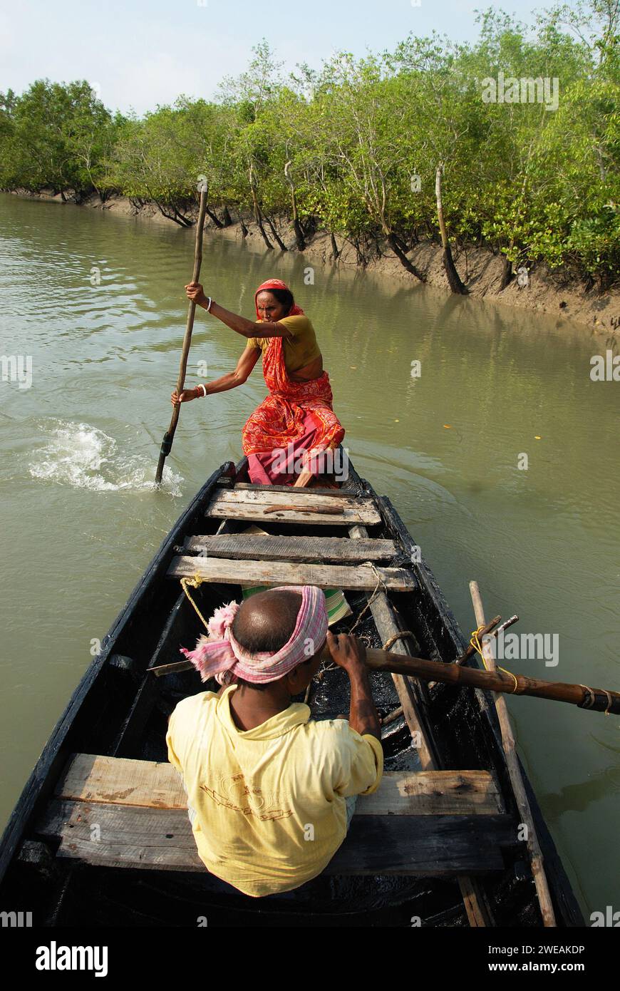 Fishing is the livelihood for many families in the Sundarbans, the ...