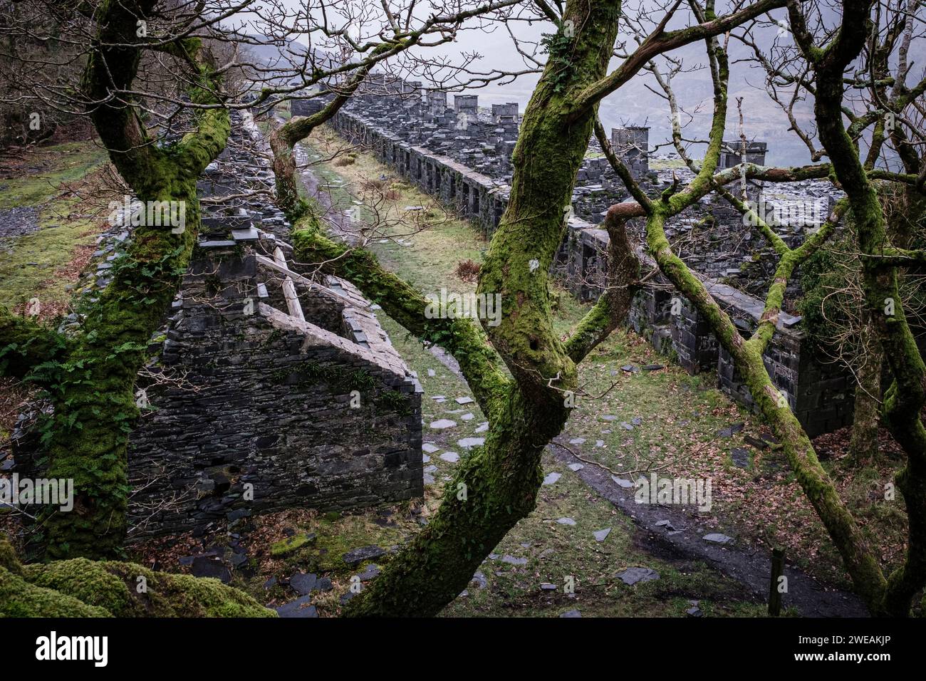 Anglesey Barracks former Quarrymen's accommodation at Dinorwic Slate ...