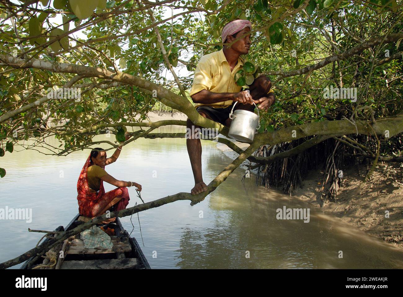 Fishing is the livelihood for many families in the Sundarbans, the ...