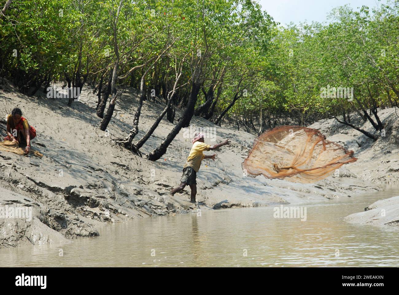 Fishing is the livelihood for many families in the Sundarbans, the ...