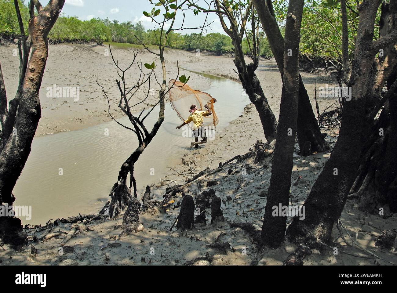 Fishing is the livelihood for many families in the Sundarbans, the ...