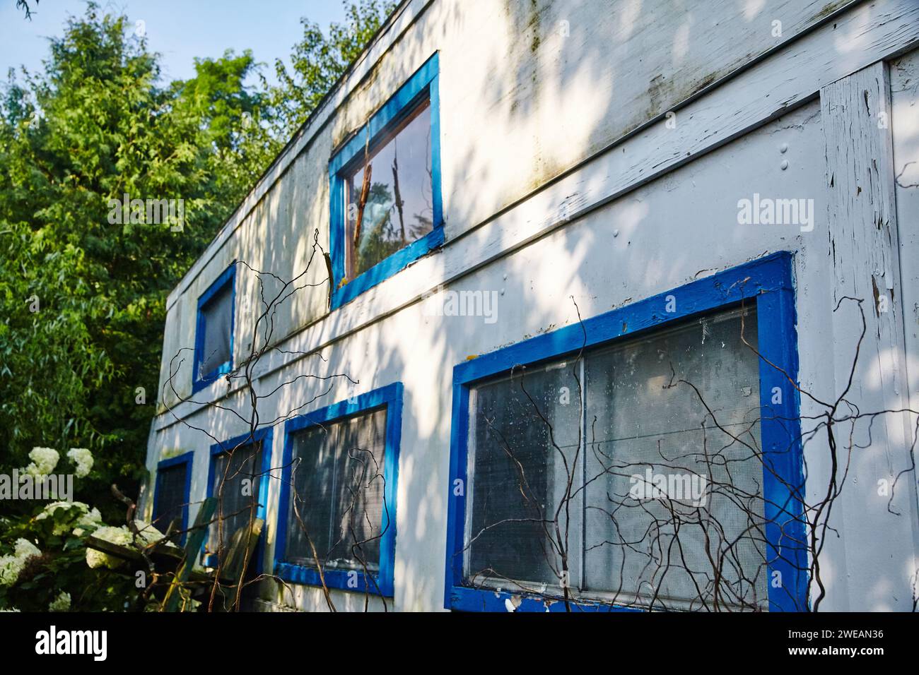 Abandoned Rural Building with Peeling Paint and Cobwebbed Windows Stock Photo - Alamy