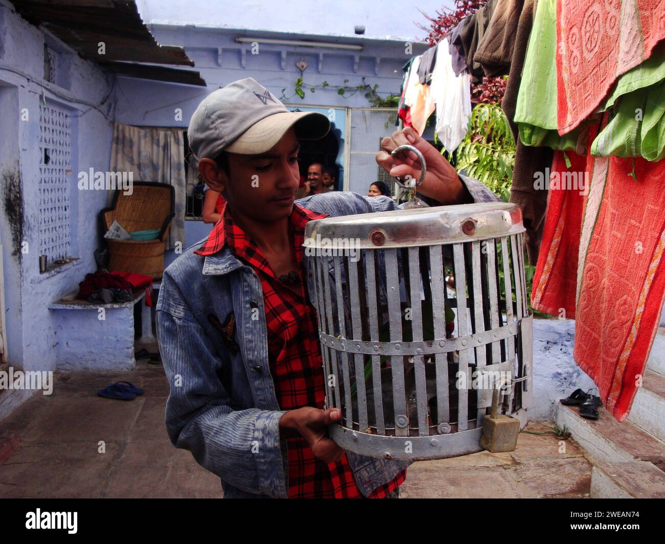 birds flying in nature as symbol for freedom and boundlessness flying ...