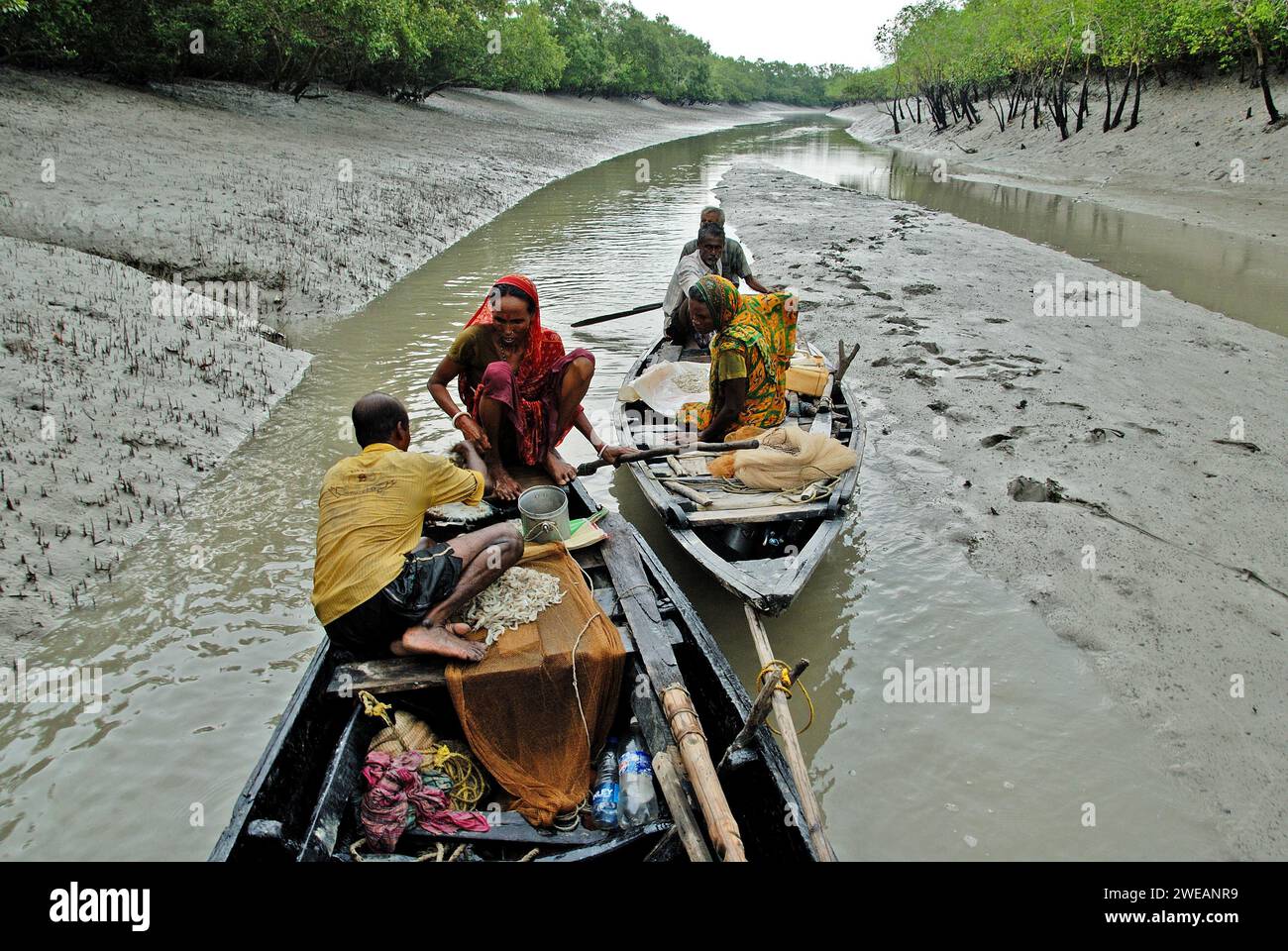 Fishing is the livelihood for many families in the Sundarbans, the ...