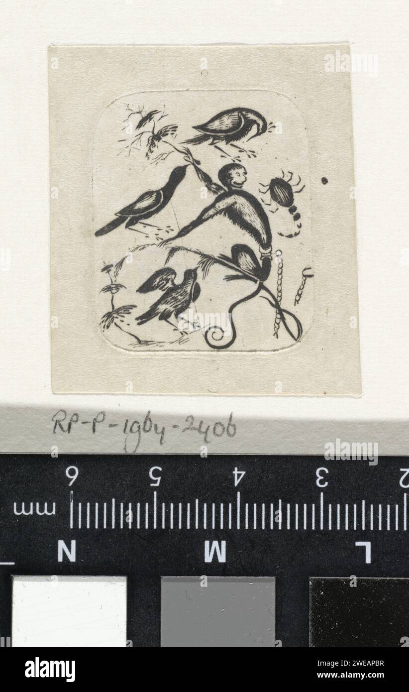 Monkey and Birds, Isaac Walraven, 1696 - 1765 print Example for ...