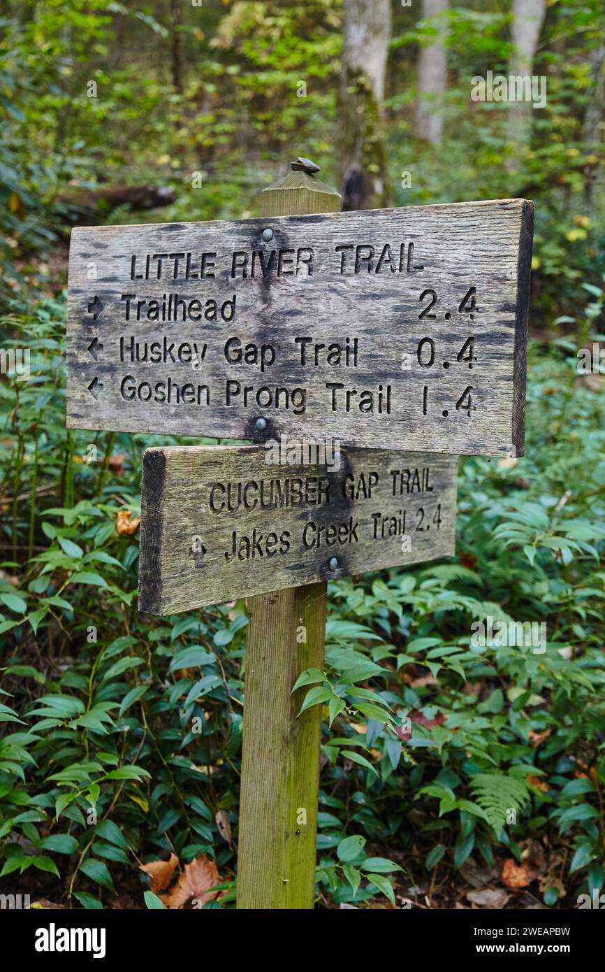 Little River Trail Sign in Smoky Mountains Forest Hiker's Guide Stock ...