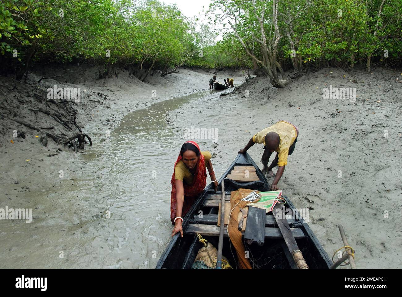 Fishing is the livelihood for many families in the Sundarbans, the ...