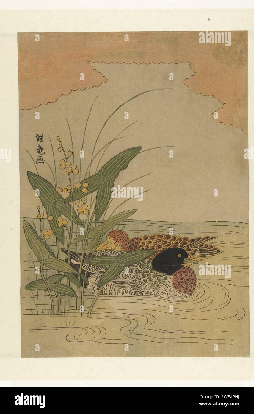 Two Ducks Swimming at Yellow Flowering Arrow Wort, Isoda Kôryûsai, 1770 ...