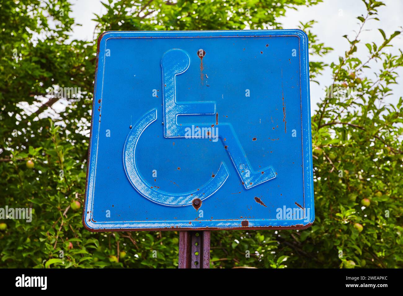 Weathered Handicap Parking Sign with Green Foliage Background Stock ...