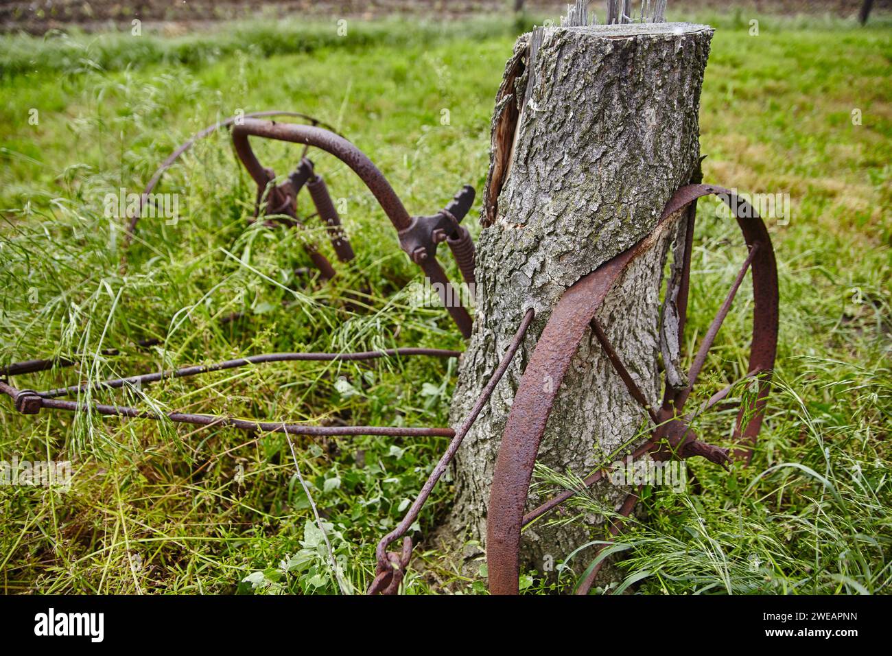 Natures transformation hi-res stock photography and images - Alamy