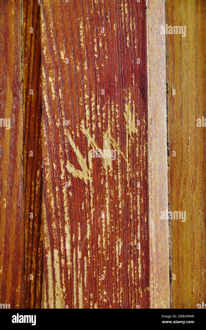 Rustic Distressed Wood Grain Texture Close-Up Stock Photo - Alamy