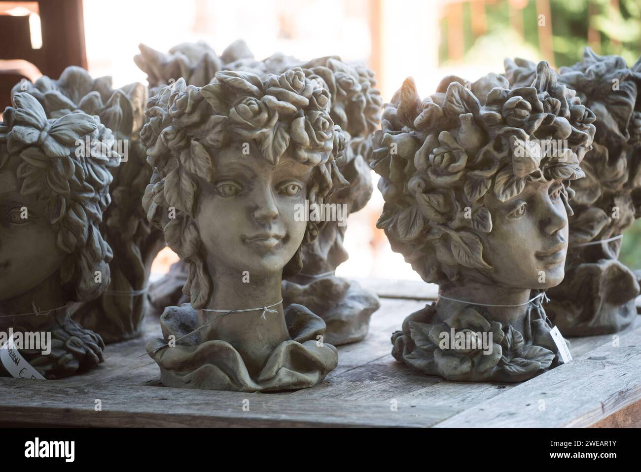 the hairstyle of a human being, hairs on the head hairstyle of a human ...