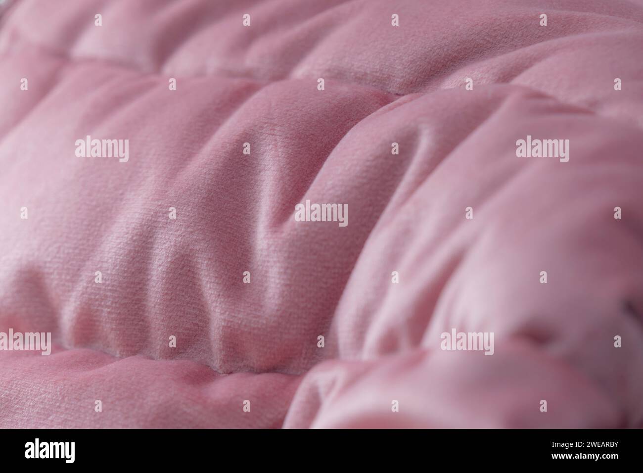 pink yang girl's fashionable jacket Stock Photo - Alamy