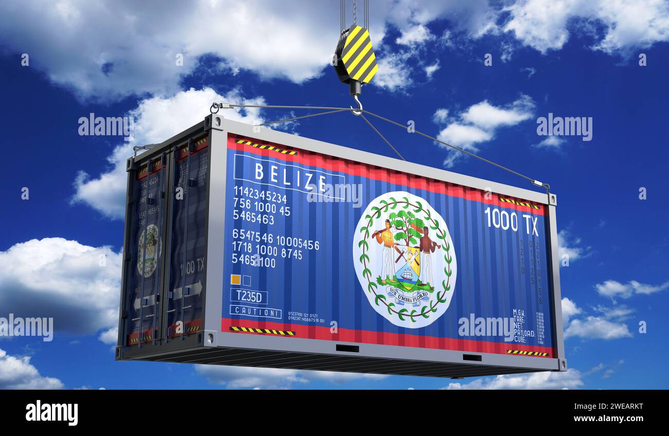 Freight shipping container with national flag of Belize hanging on ...