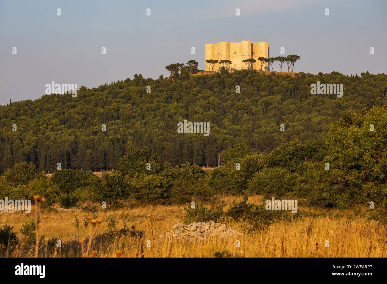 Castel del Monte, castle built in an octagonal shape by the Holy Roman ...