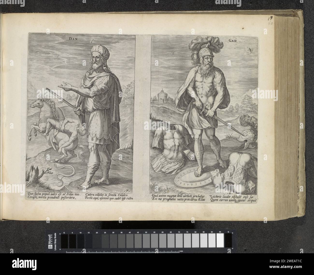 Snake on the road hi-res stock photography and images - Alamy