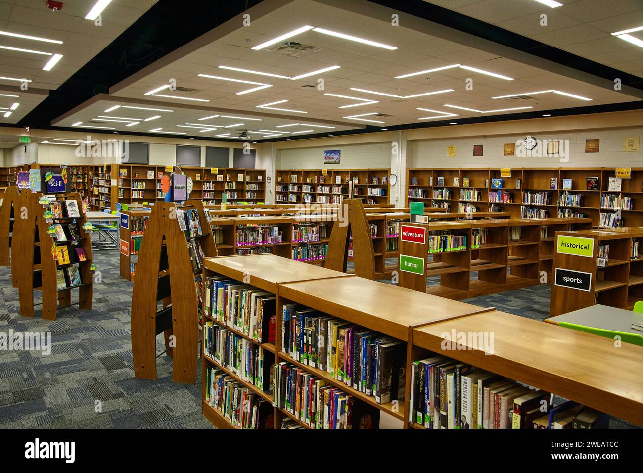 Organized Library Interior with Genre Bookshelves, Geometric Carpet ...