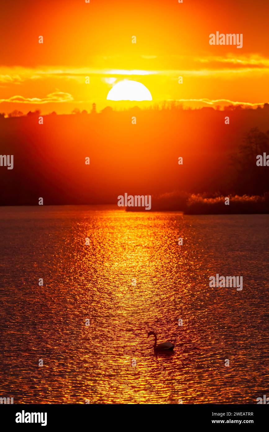 wildilife in Balaton Felvideki reservation, Hungary Stock Photo - Alamy