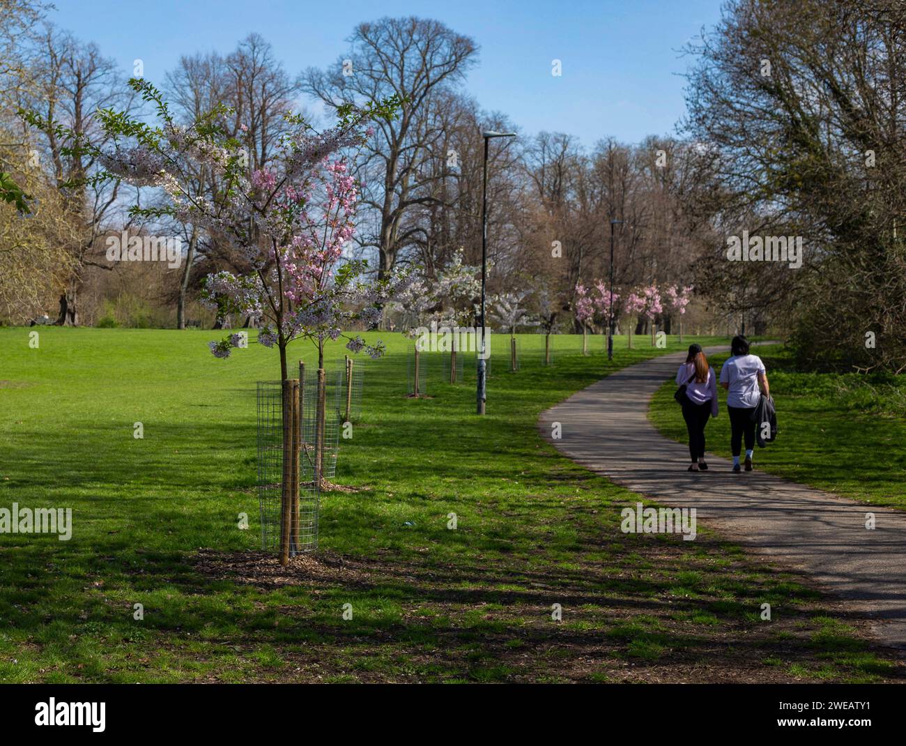 Two people enjoying a leisurely walk on a winding path in a lush park ...