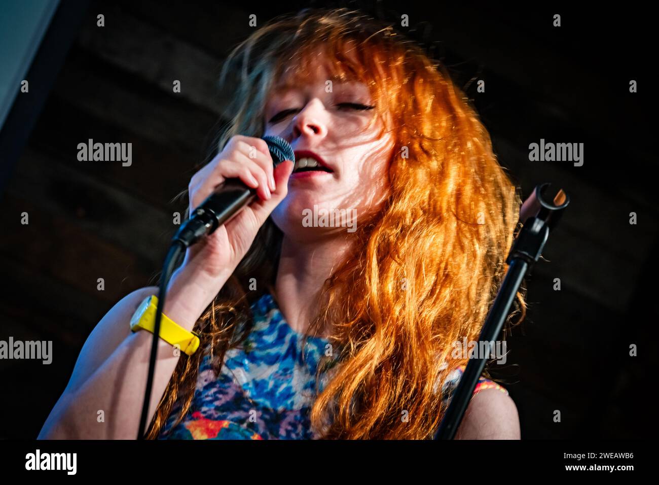 Lily higham hi-res stock photography and images - Alamy