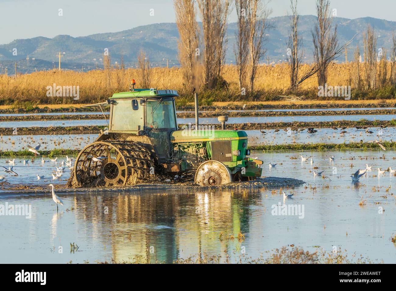 Ebro waterfront hi-res stock photography and images - Alamy