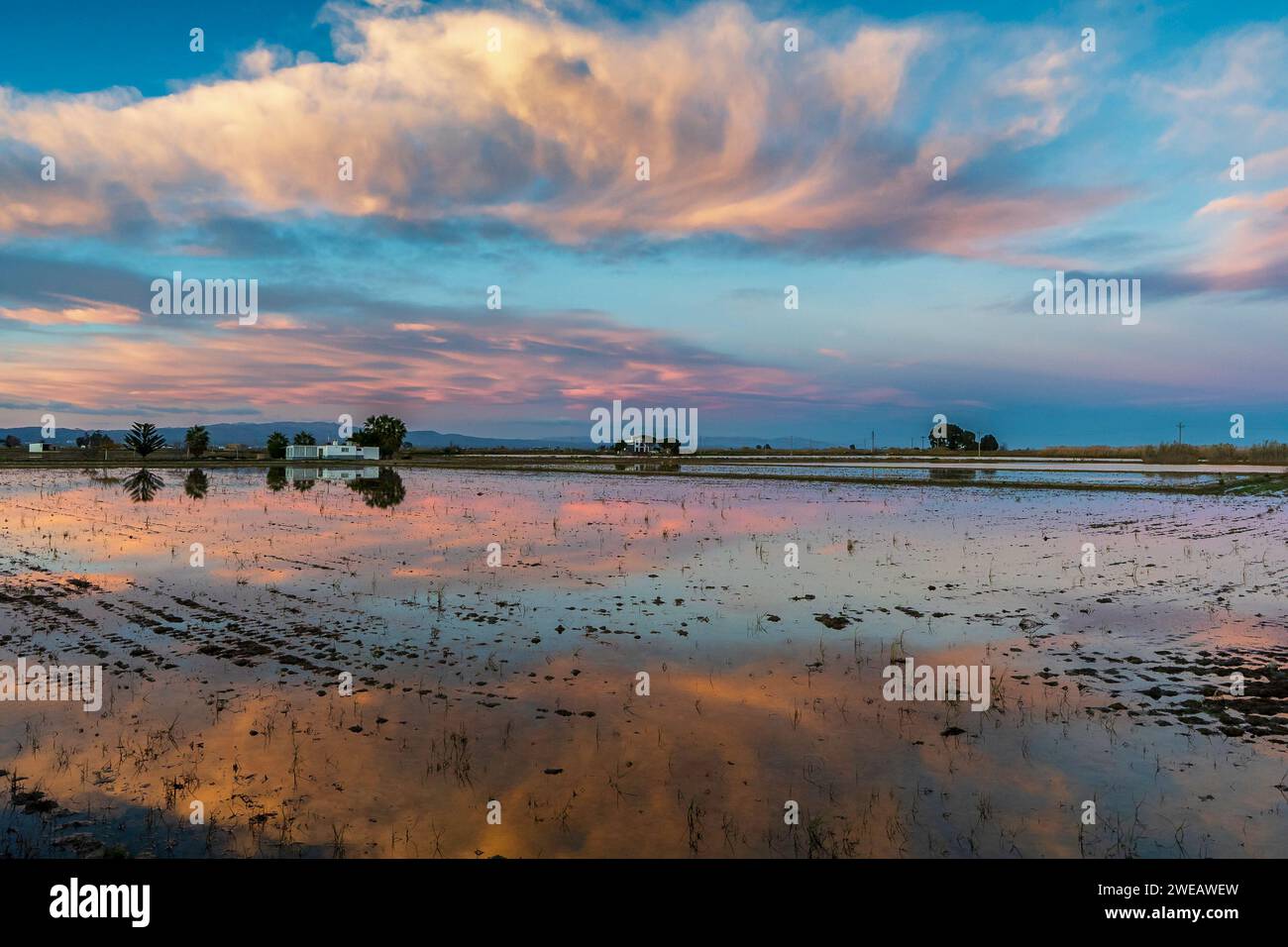 Natural park of the Ebro Delta (Spain Stock Photo - Alamy