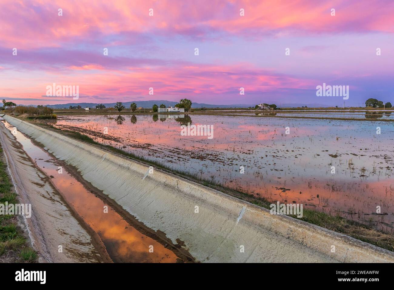 Delta wetland hi-res stock photography and images - Alamy
