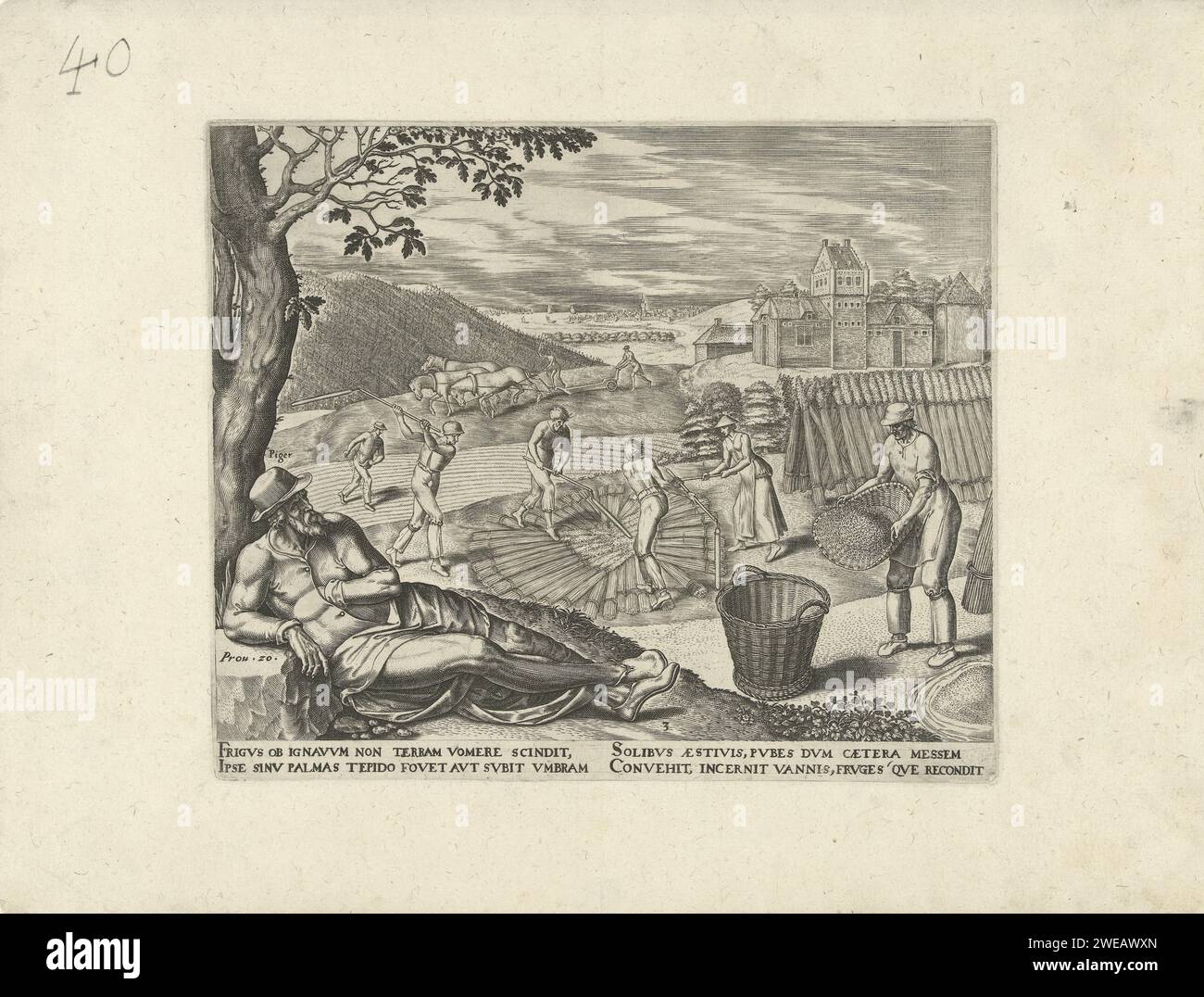 Medieval workers harvesting grain hi-res stock photography and images ...