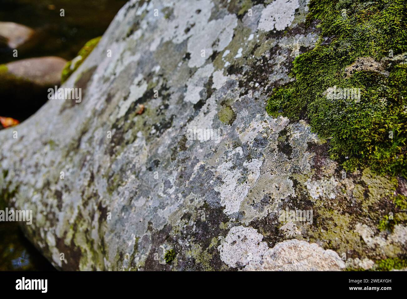 Setting pattern in education hi-res stock photography and images - Alamy