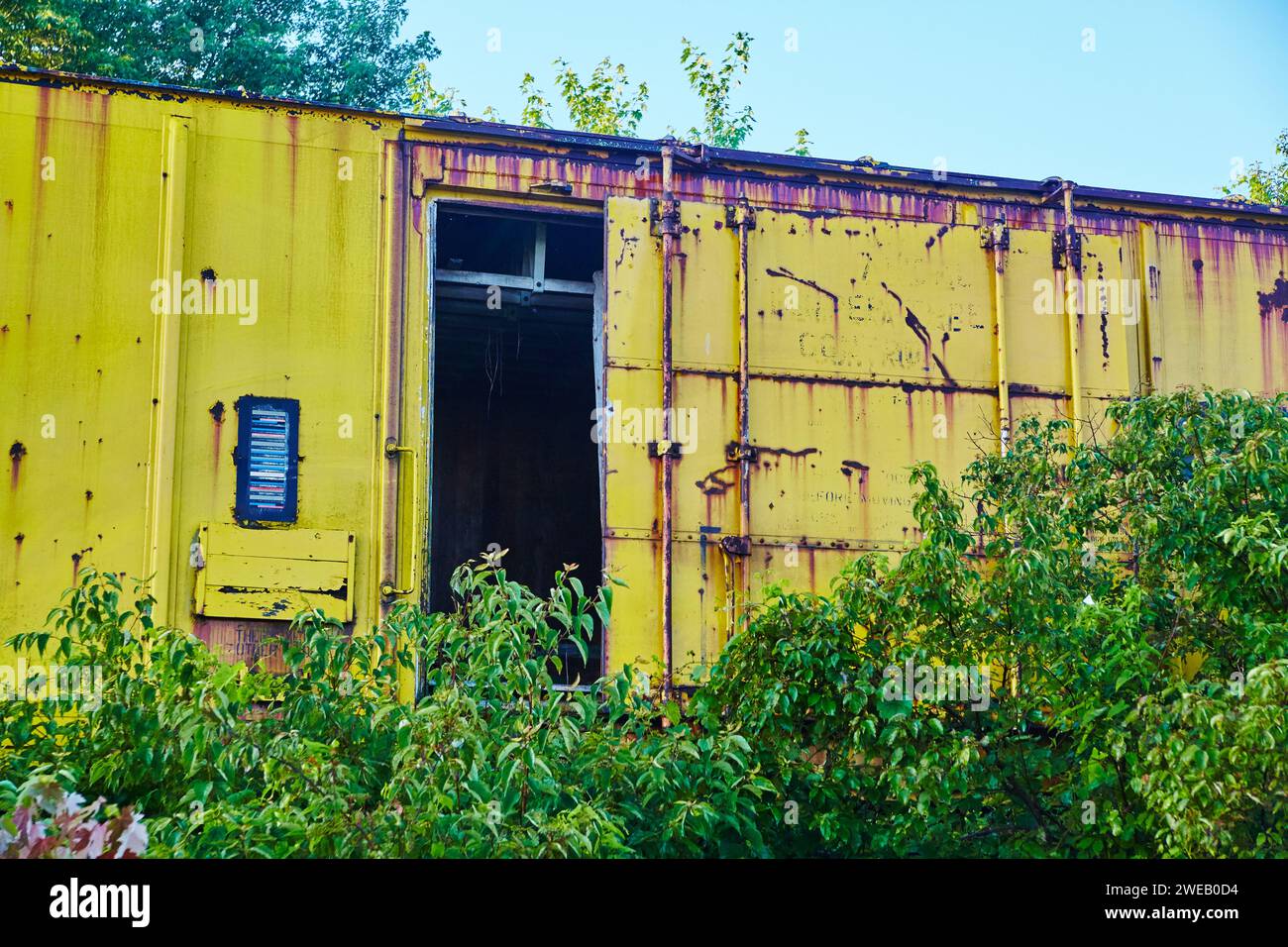 Abandoned Yellow Shipping Container in Nature, Rusted and Overgrown ...