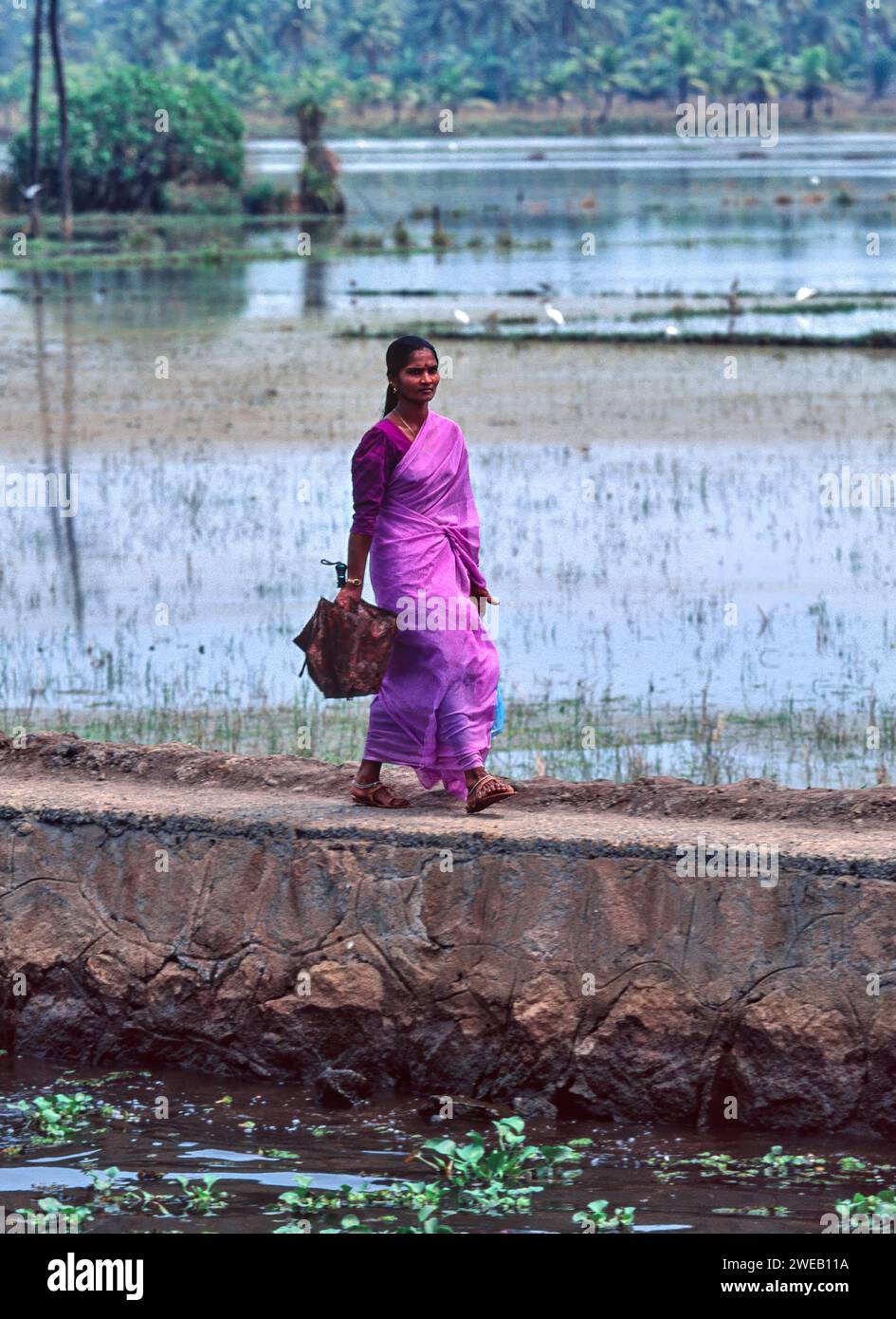 Nature saree hi-res stock photography and images - Alamy