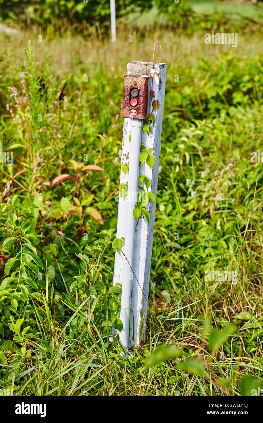 Abandoned Boundary Post with Vine in Lush Greenery, Eye-Level View ...