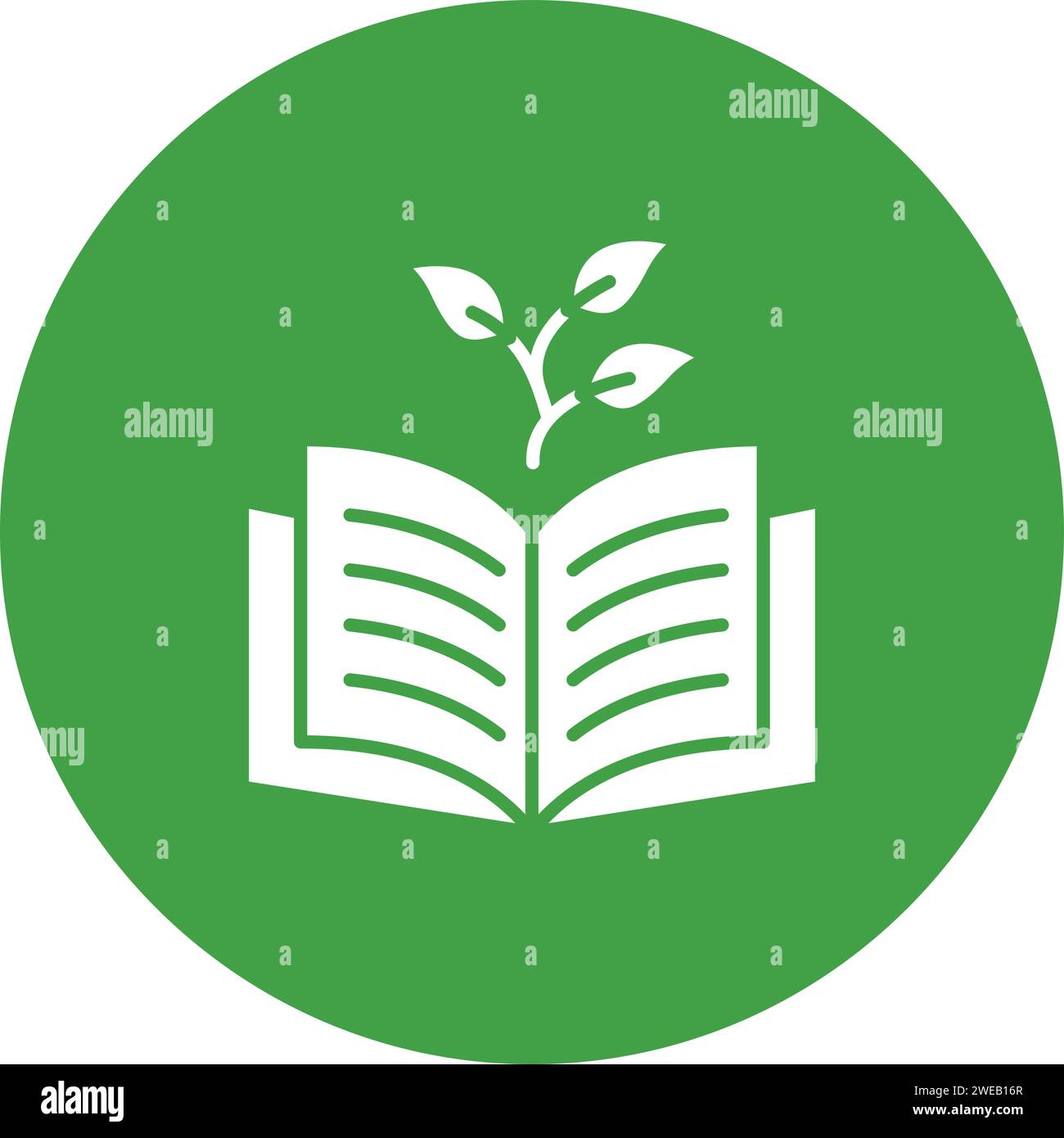 Growing Knowledge icon vector image Stock Vector Image & Art - Alamy
