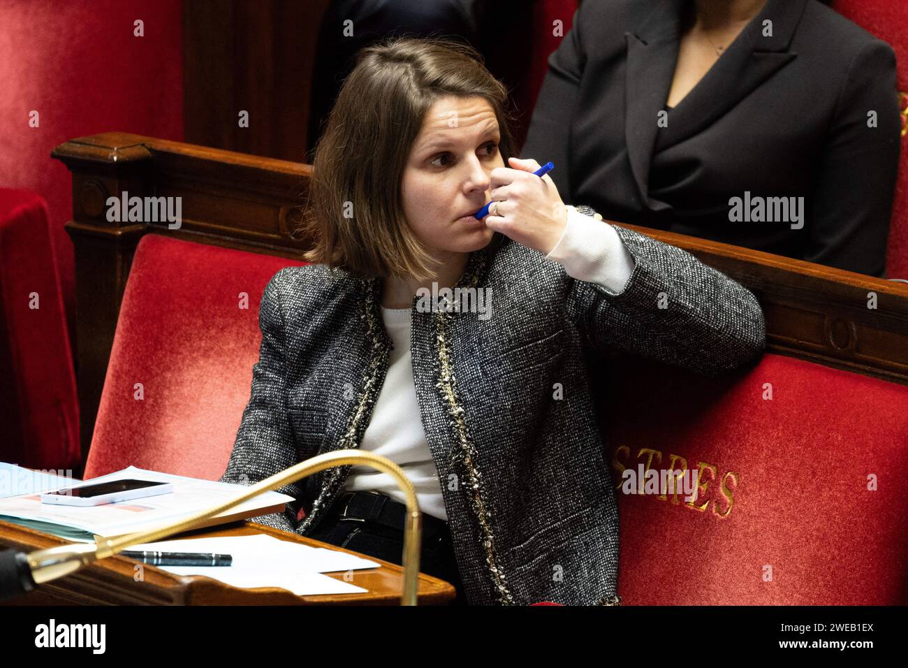 Paris, France. 24th Jan, 2024. French Junior Minister for the Relations with the Parliament ...