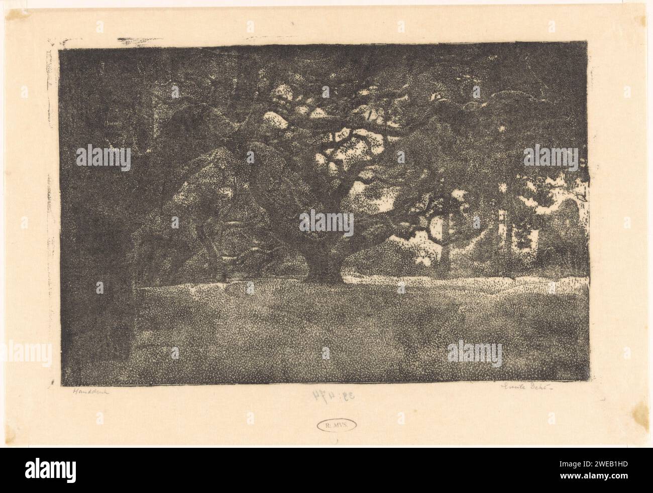 Forest with deciduous trees, Emilius Wilhelmus Dehé, 1896 - 1939 print ...