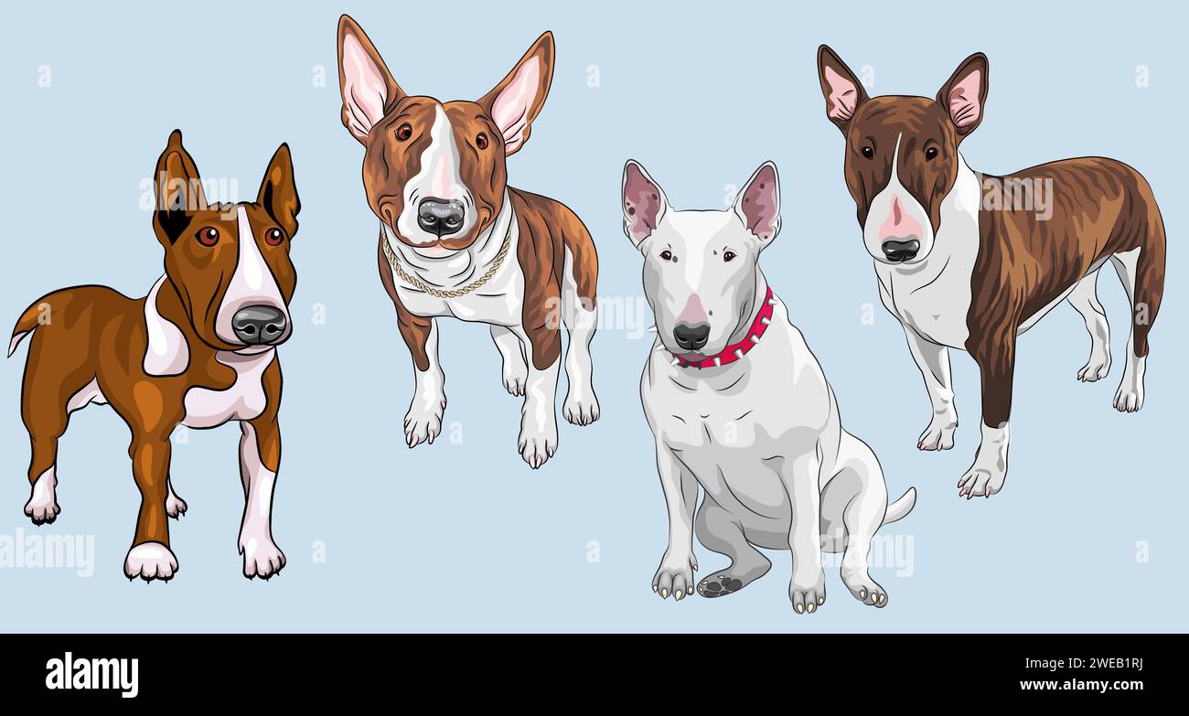 Bull terrier dog cartoon illustration hi-res stock photography and ...