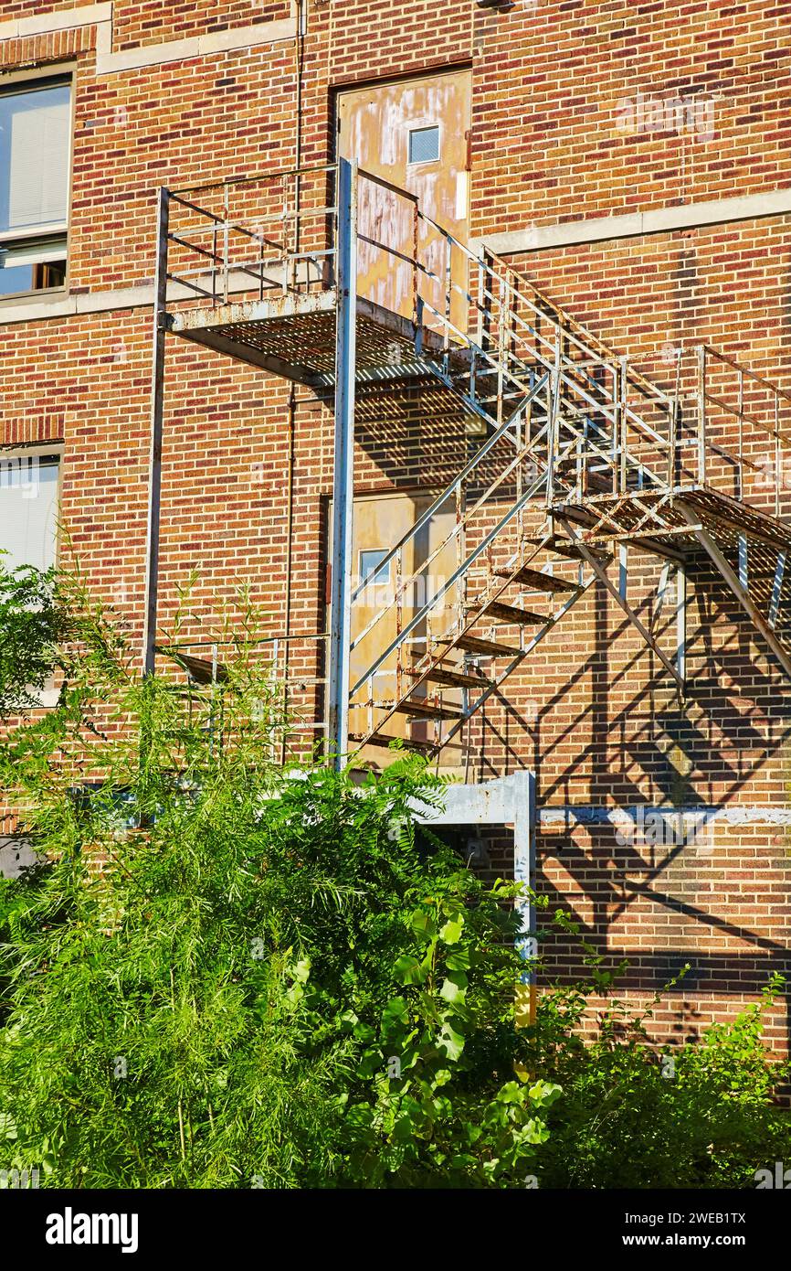 Rusty Fire Escape and Overgrown Plants on Brick Building Stock Photo ...