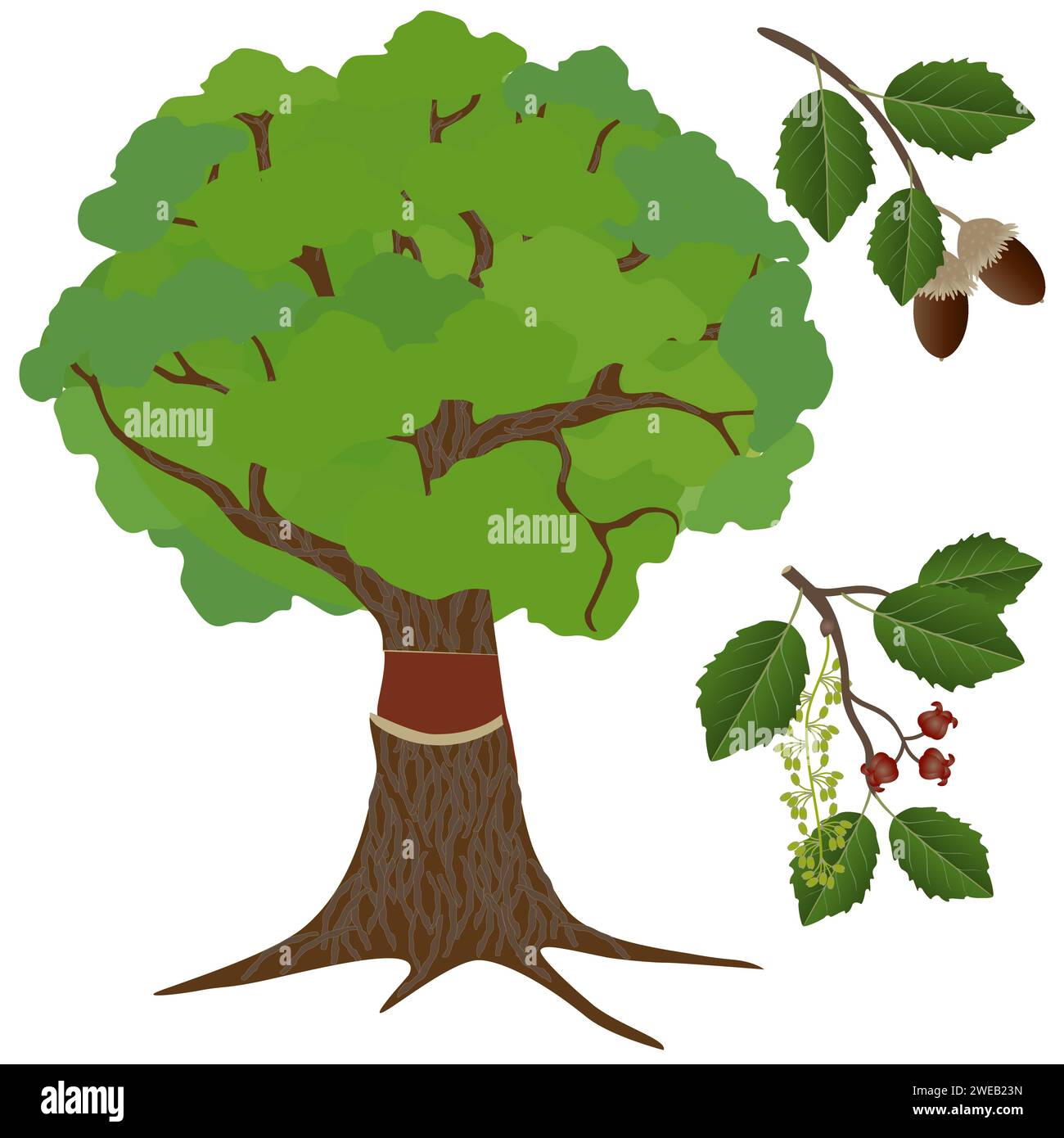 Cork farm Cut Out Stock Images & Pictures - Alamy