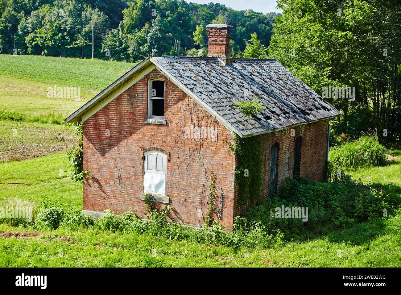 Abandoned Brick House with Vines in Rural Ohio, Eye-Level View Stock ...