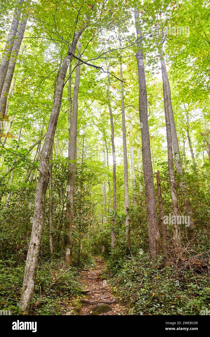Serene eye level view hi-res stock photography and images - Alamy